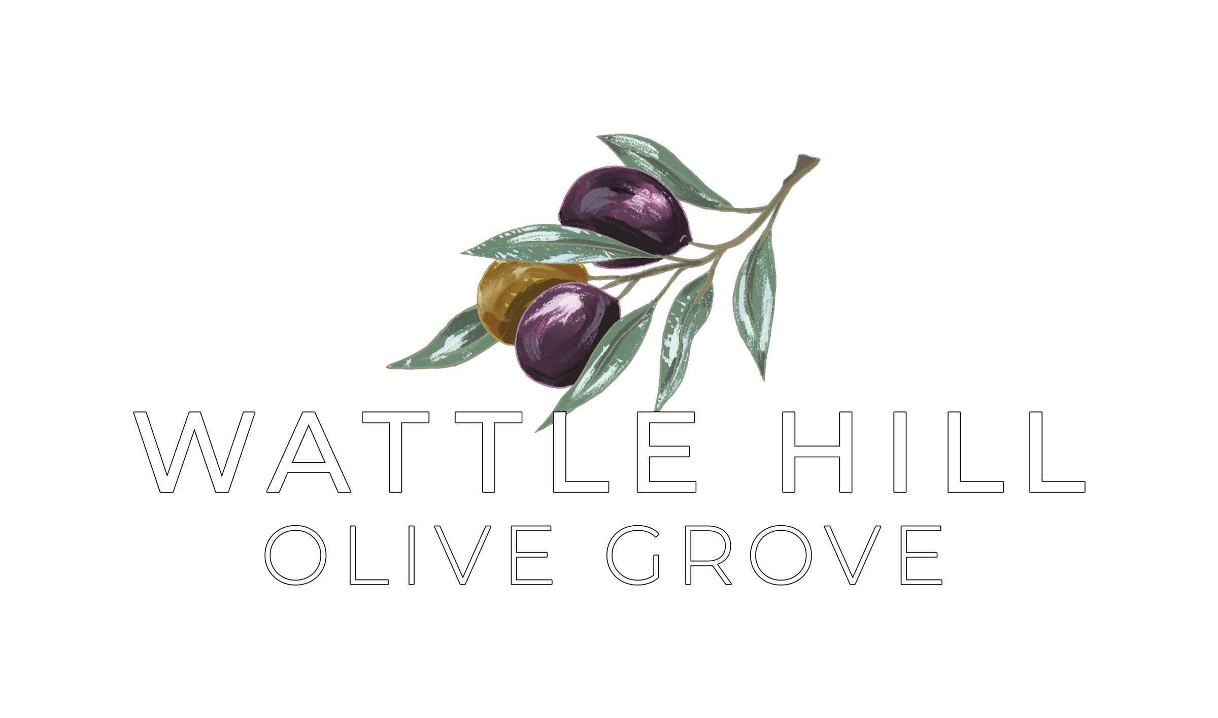 Discover Tasmania’s Award-Winning Olive Grove | Wattle Hill Olives